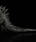 Godzilla (2014) Review